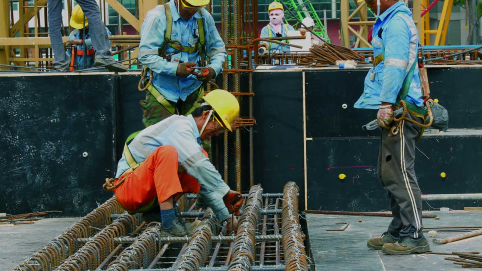 bg-8 | Danbro Distributors